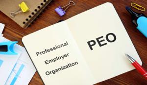 How Does A PEO Work?